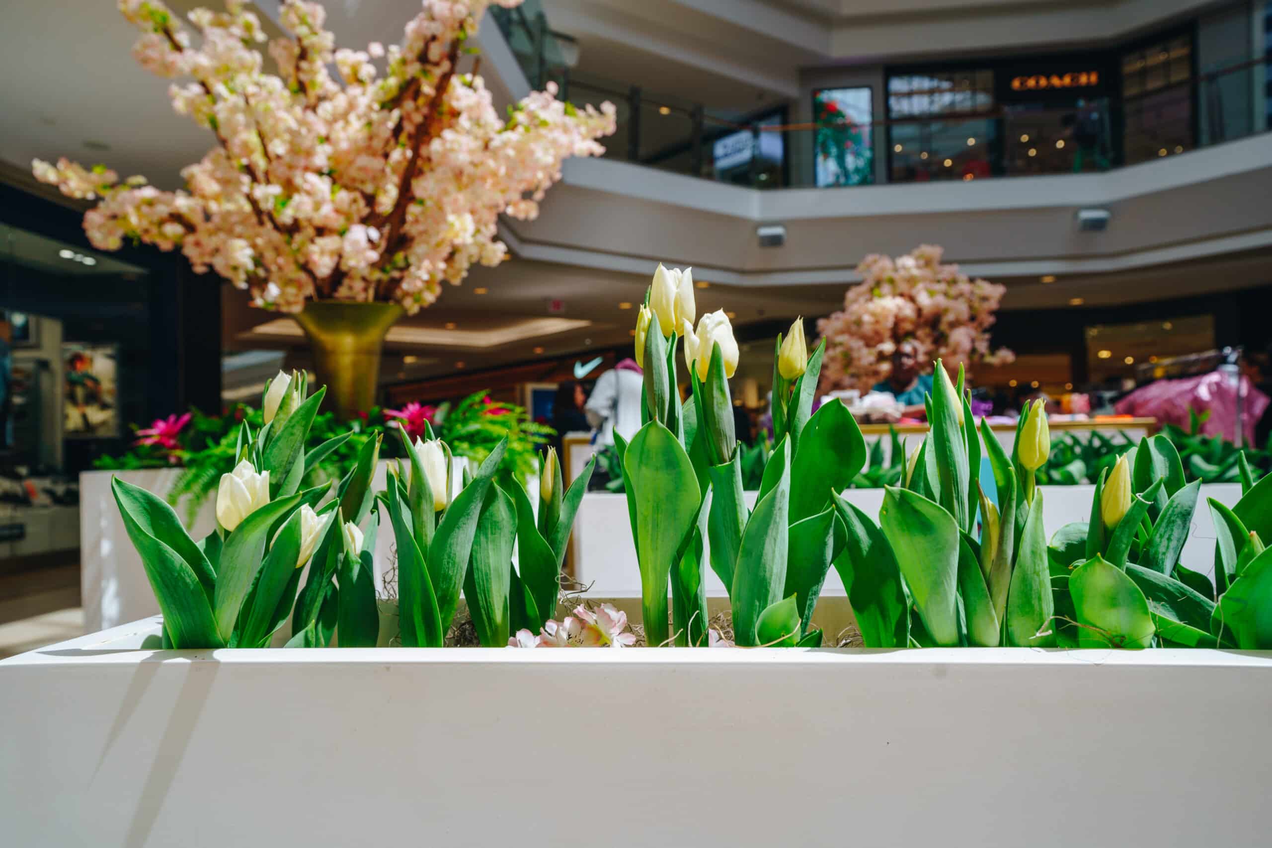 Scarborough Town Centre - Flower Market ⋆ Rebecca Chan Events Inc.