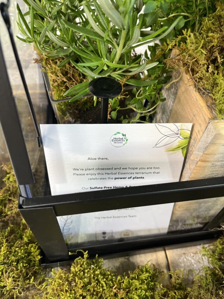 Herbal Essences Influencer Mailer ⋆ Rebecca Chan Events Inc.